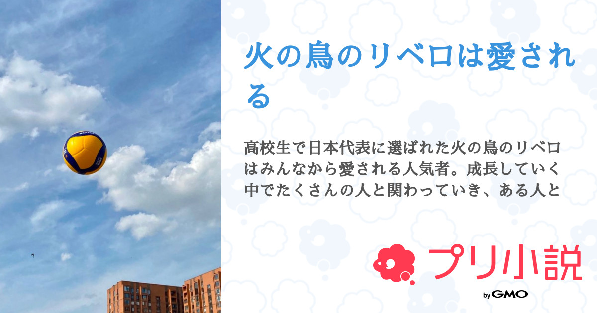 第41話：33. テレビでの共演（火の鳥のリベロは愛される）｜無料スマホ夢小説ならプリ小説 byGMO